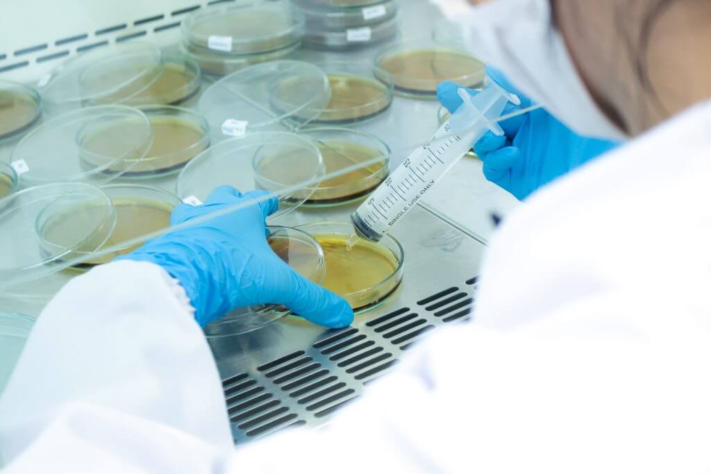 A Complete Guide On Using Spore Syringes Effectively